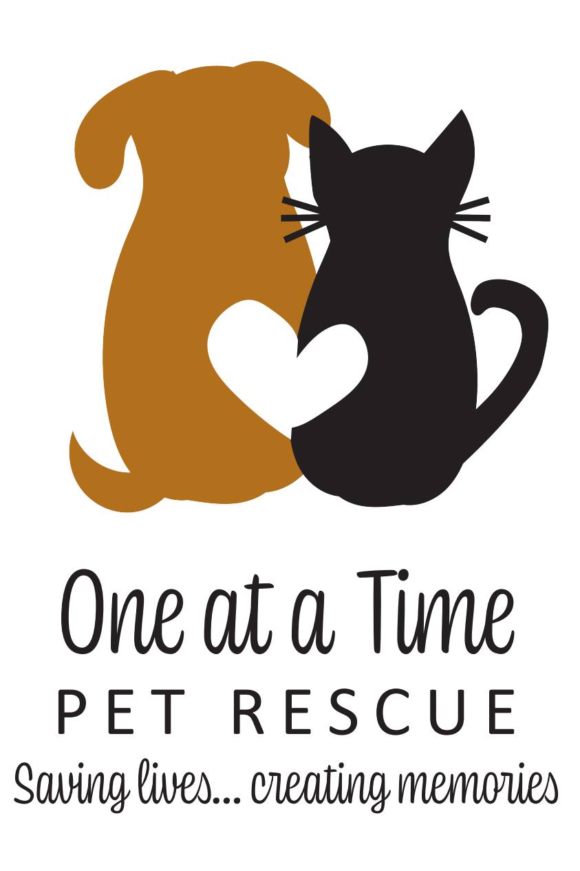 One at a Time (OAAT) Pet Rescue and Adoption